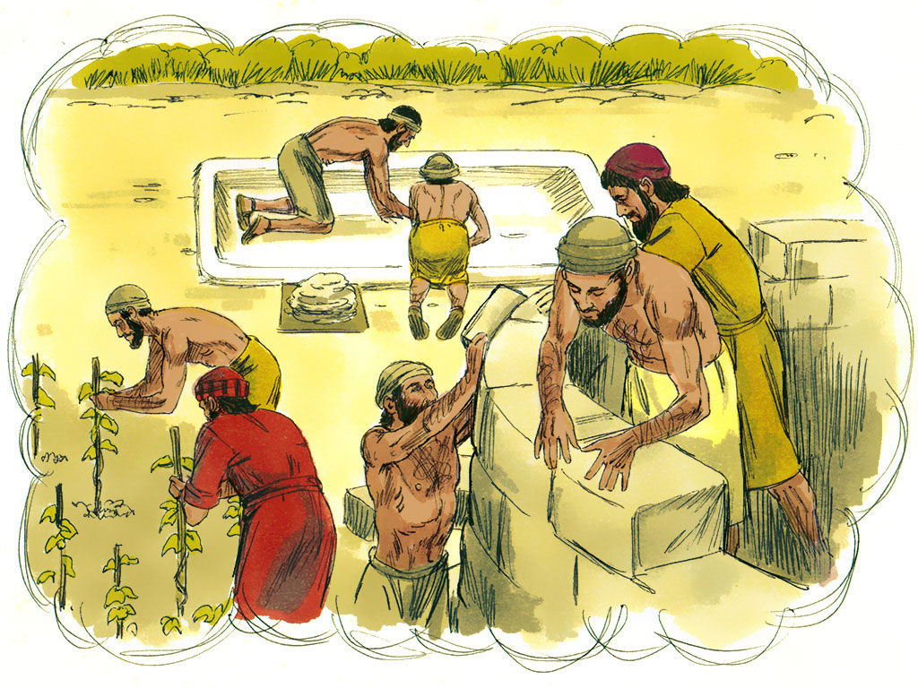 The Parable Of The Landowner And The Tenants Matthew 21 33 21 46 The Parable Of The Landowner And The Tenants Matthew 21 33 21 46